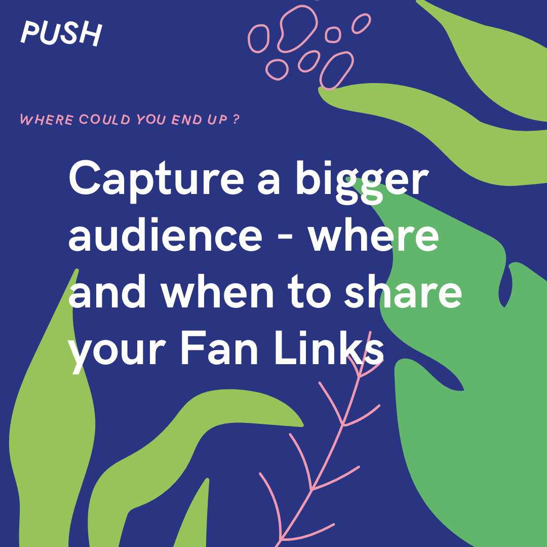 Capture a bigger audience - where and when to share your Fan Links - PUSH.fm