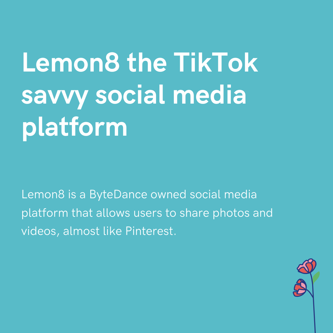 Lemon8 the TikTok savvy social media platform - PUSH.fm