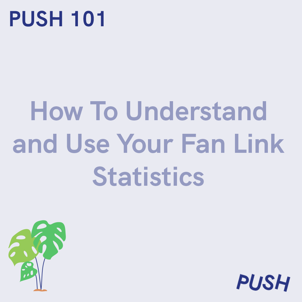 What is a Fan Link? Customisable All-In-One Landing Pages for Content Creators - PUSH.fm
