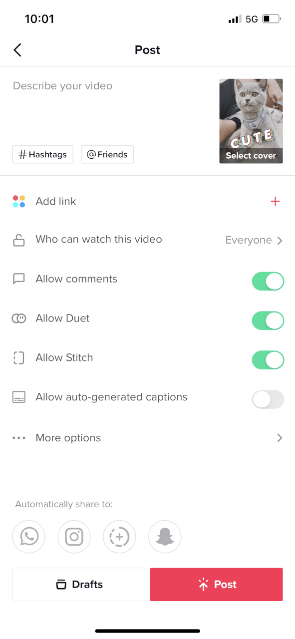 How to use TikTok - a thorough guide for beginners - PUSH.fm