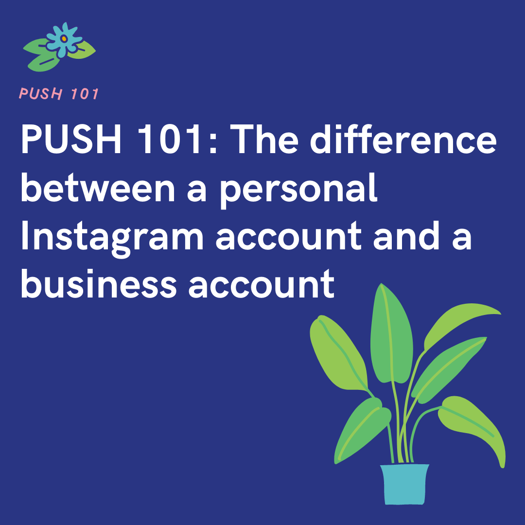 PUSH 101: The difference between a personal Instagram account and a ...