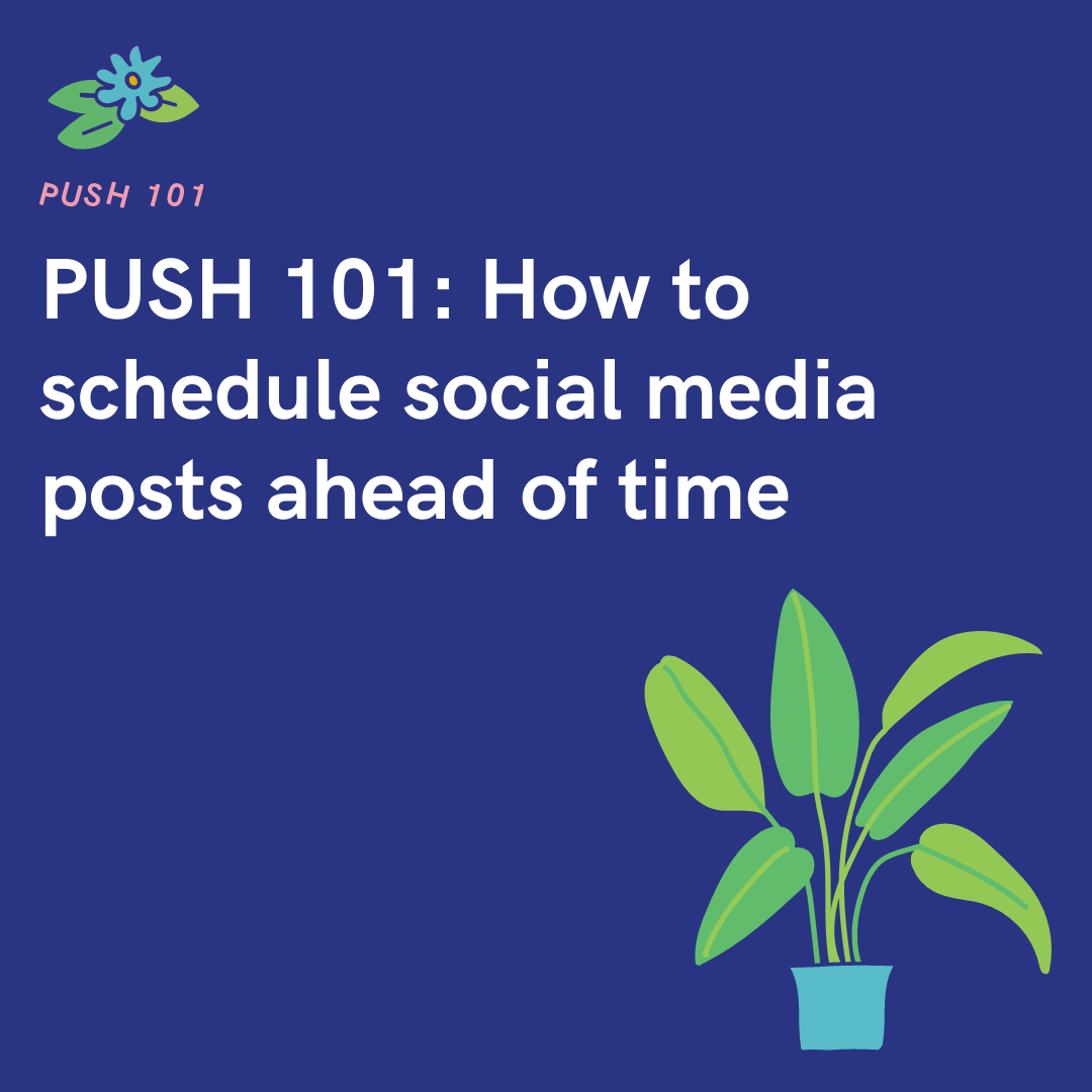 PUSH 101: How to schedule social media posts ahead of time - PUSH.fm