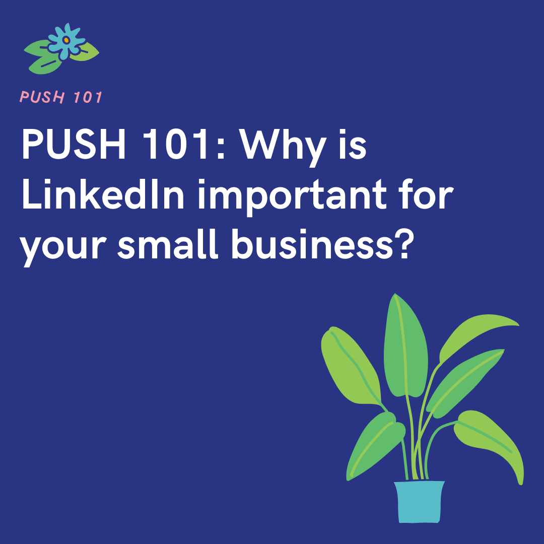 PUSH 101: Why is LinkedIn important for your small business? - PUSH.fm