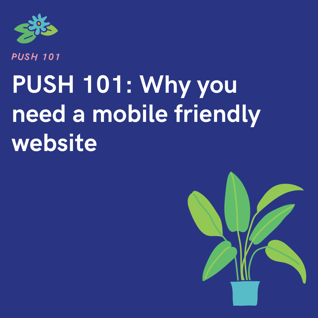 PUSH 101: Why you need a mobile friendly website - PUSH.fm