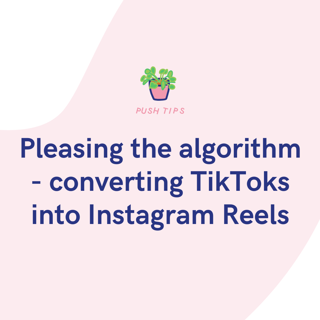 Pleasing the algorithm - converting TikToks into Instagram Reels - PUSH.fm