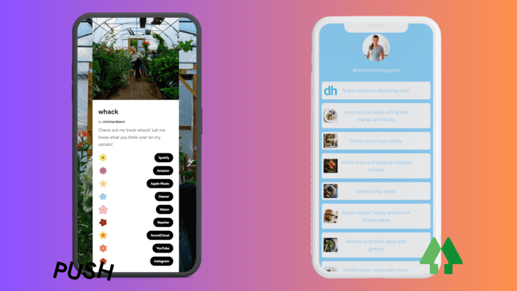 Create Premium Smart Links at half the cost of Linktree - PUSH.fm