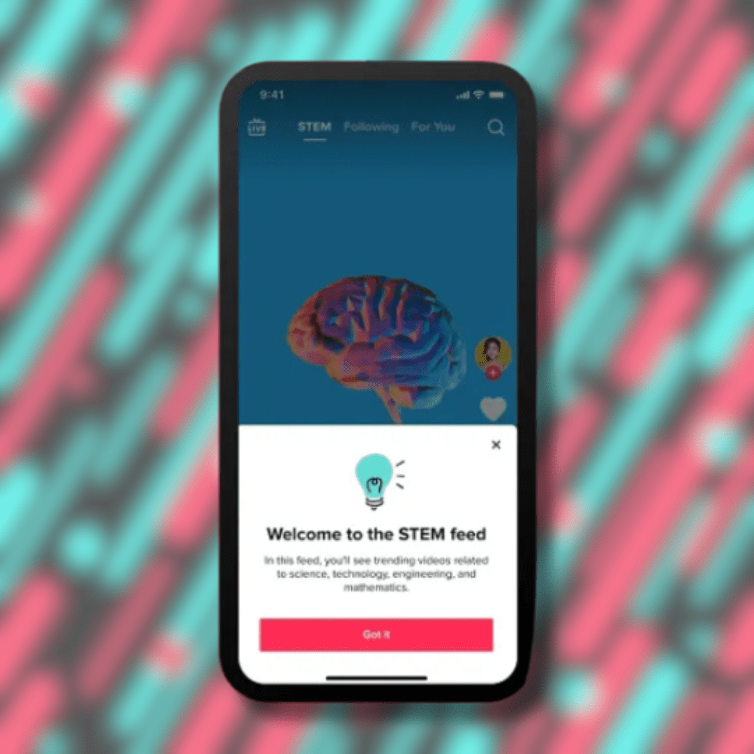 TikTok introduces a STEM feature for accounts in the UK, US and Ireland - PUSH.fm