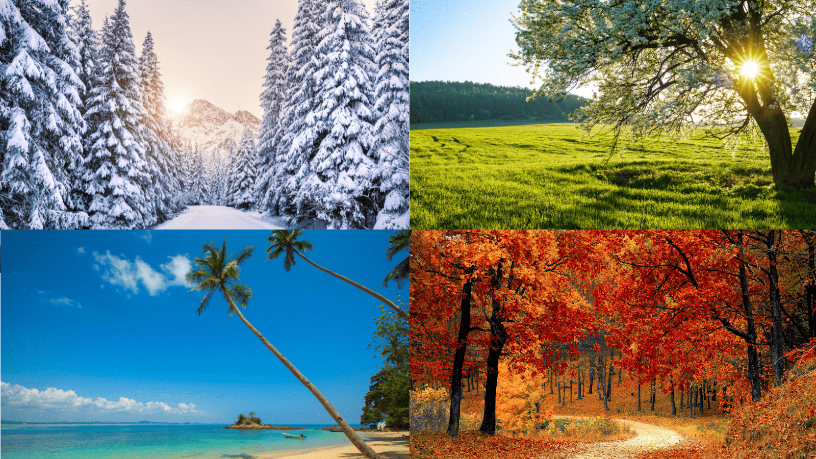 Why seasons matter for content creators - PUSH.fm Why seasons matter for content creators - PUSH.fm