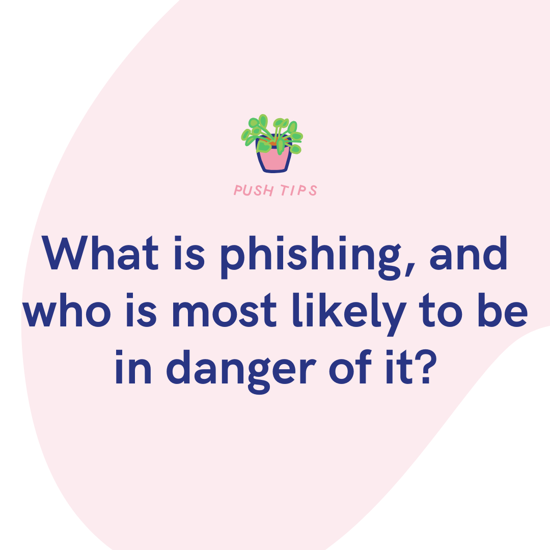 What is phishing, and who is most likely to be in danger of it? - PUSH.fm