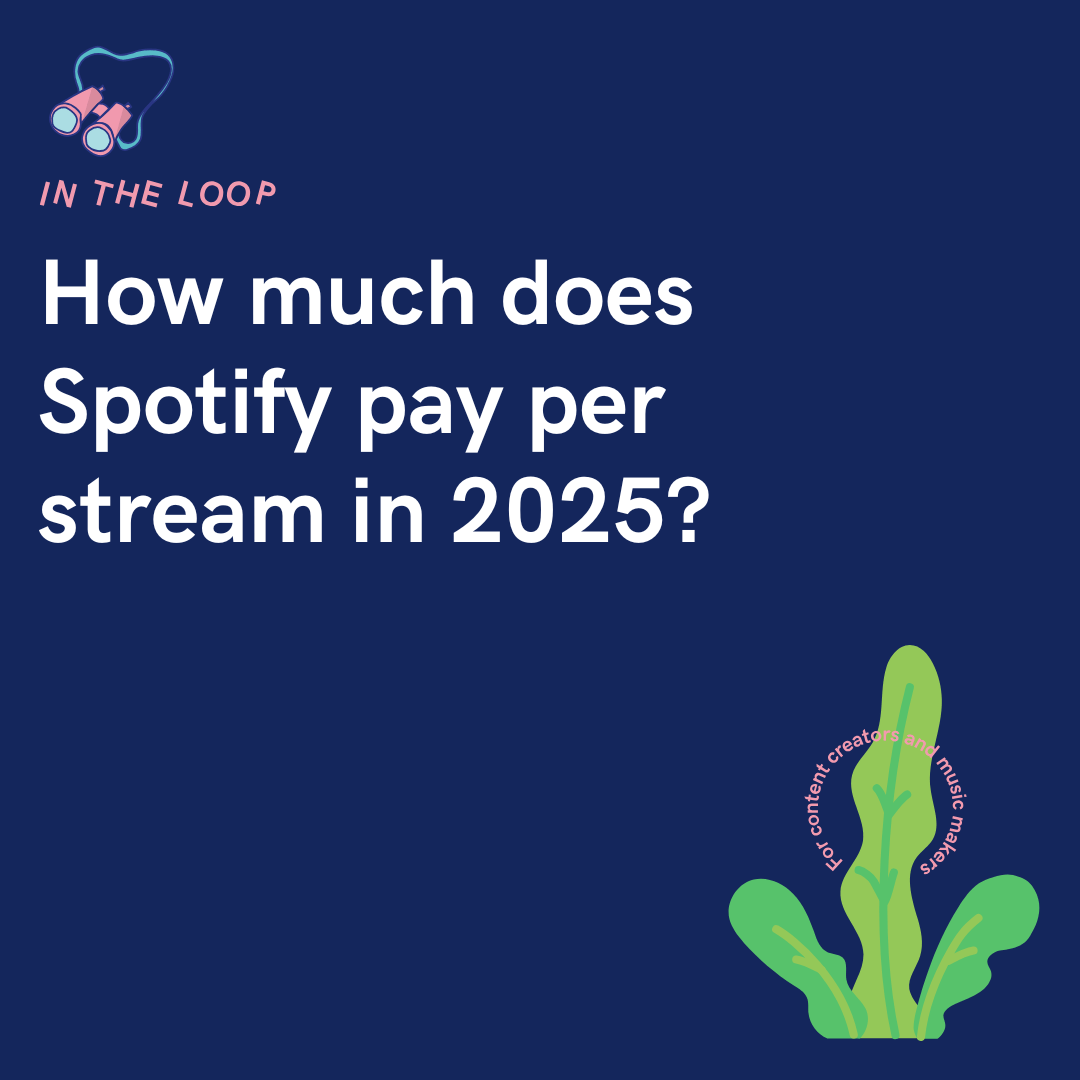 How much does Spotify pay per stream in 2025? - PUSH.fm
