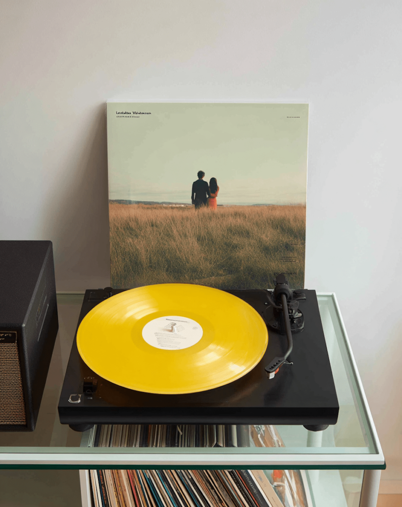 Is vinyl better than streaming? - PUSH.fm