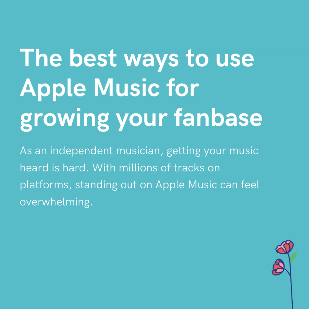 How to create and manage scheduled posts and reels on Instagram - PUSH.fm